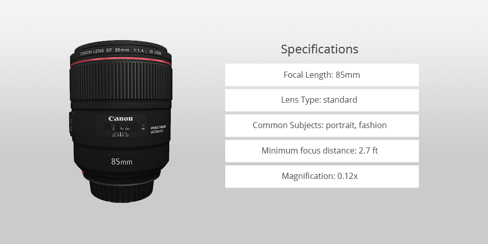 11 Best Canon Lenses for Every Photographer in 2026