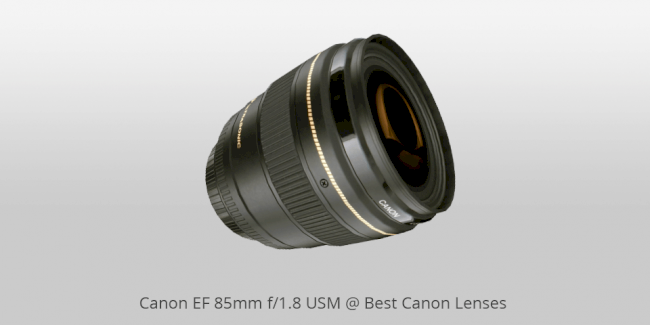 11 Best Canon Lenses for Every Photographer in 2026