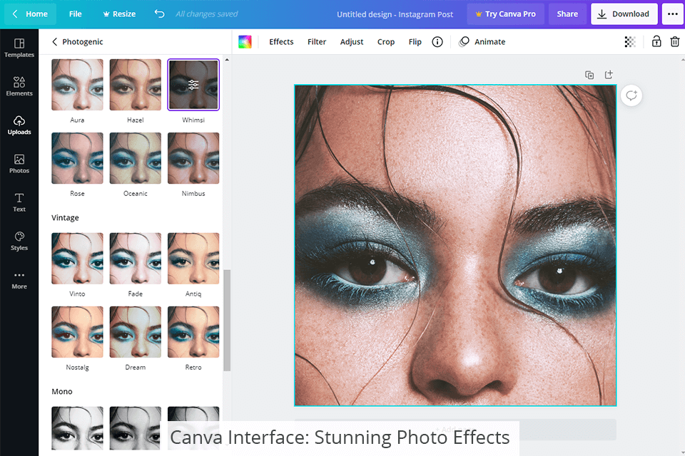 Venngage vs Canva: Which Service Is Better?