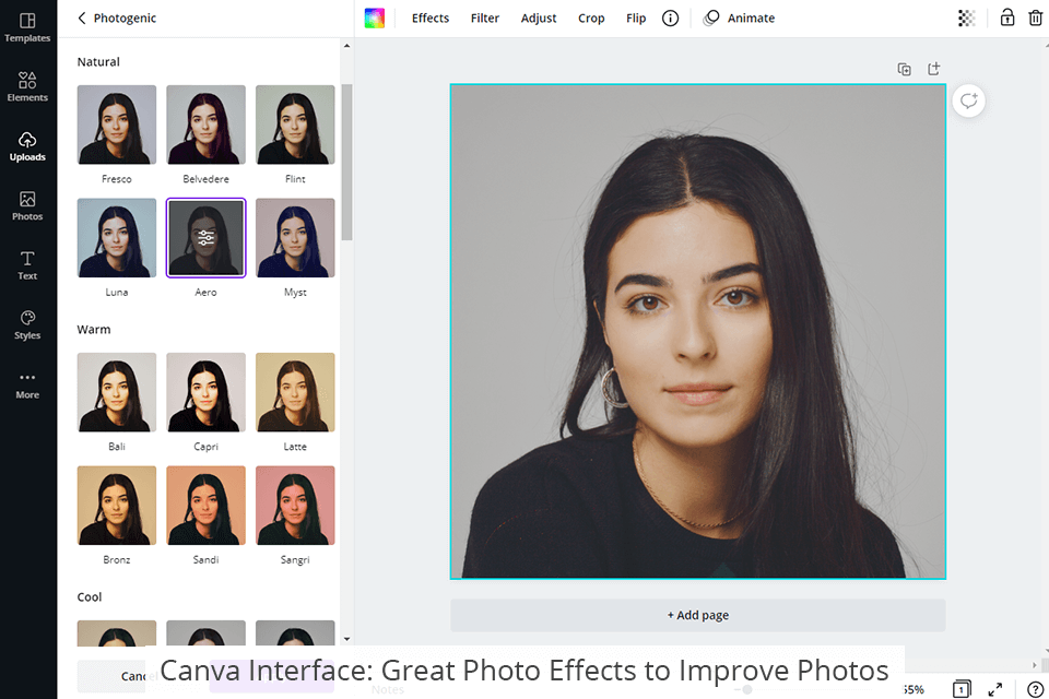 Canva Vs Gravit Designer What Program To Choose