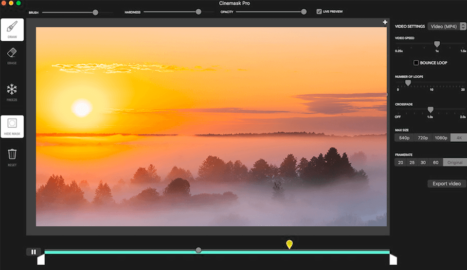 11 Best Cinemagraph Software in 2025