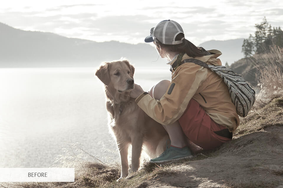 Filmora Portable 2024 Download