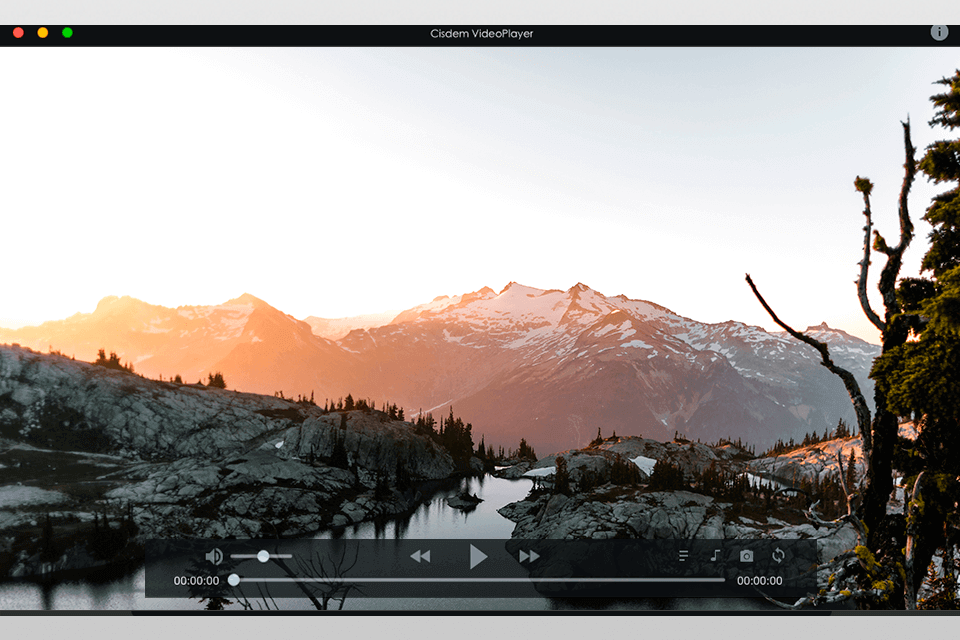 11 Best Free Video Players In 2021