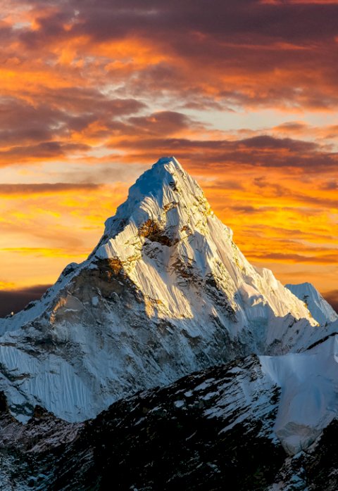 What Is Form in Photography: Ultimate Guide 2025