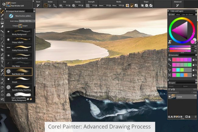 Corel Painter vs Procreate: Which Software is Better?