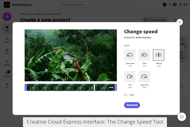 Adobe Express vs PicsArt: Which Software is Better?