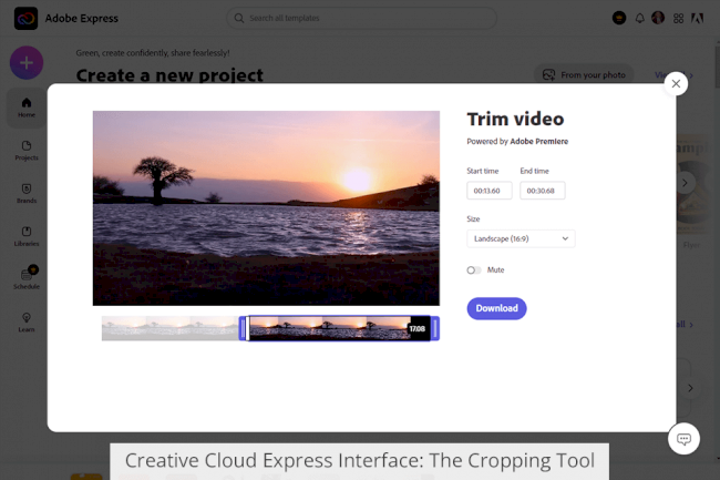Adobe Express vs PicsArt: Which Software is Better?