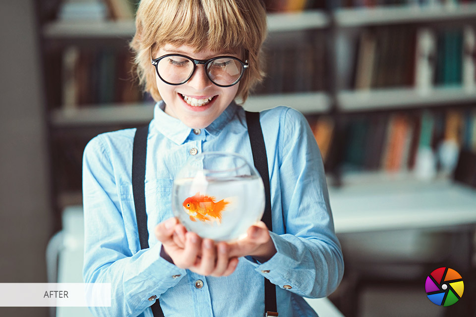 22 Free Adobe Creative Cloud Alternatives of 2024