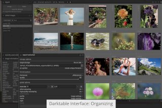 Darktable vs Luminar: Which Software is Better?