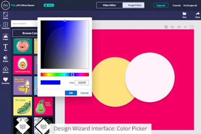 Adobe Express vs Design Wizard: Which is Better?