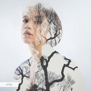 14 Best GIMP Tutorials in 2025