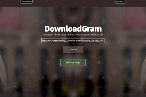 8 Best Instagram Image Downloaders in 2025