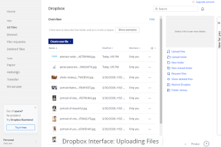 OneDrive vs Dropbox: What Software to Choose?