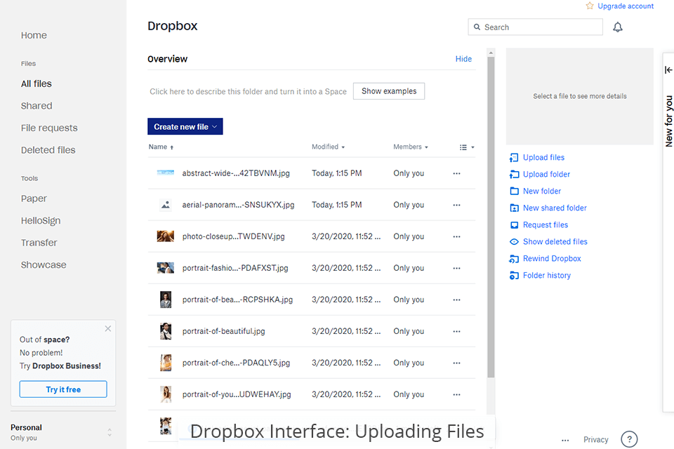 OneDrive vs Dropbox: What Software to Choose?