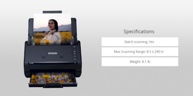 11 Best Photo Scanners in 2022