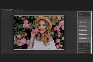 Is This Image Photoshopped? – 6 Ways to Check If Images Were Edited