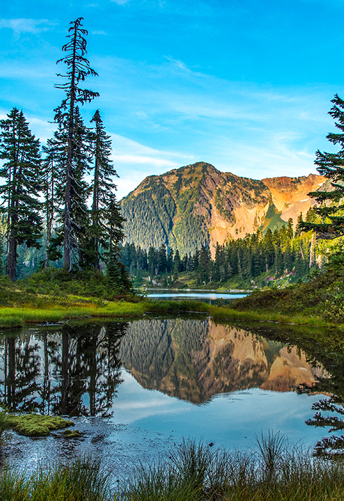 What is CPL Filter in Photography ⁠— Easy Guide