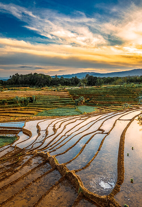 Asymmetrical Balance in Photography [Examples & Tips]