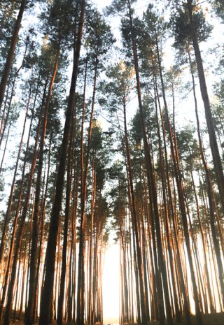 Unity Photography Examples and Ideas – Ultimate Guide