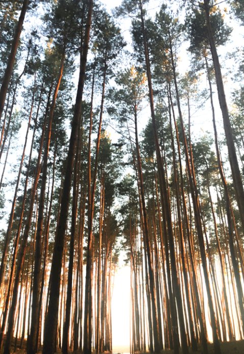 Unity Photography Examples and Ideas – Ultimate Guide