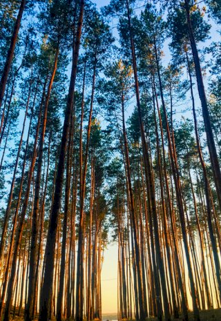 Unity Photography Examples and Ideas – Ultimate Guide