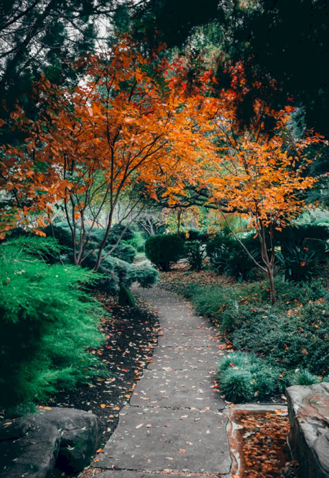 15 Garden Photography Ideas and Tips