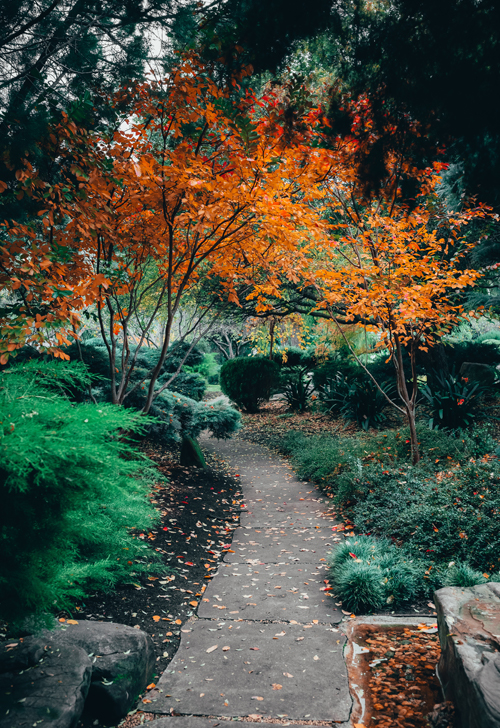 15 Garden Photography Ideas and Tips