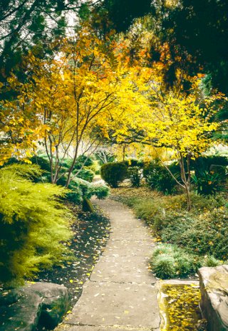 15 Garden Photography Ideas and Tips