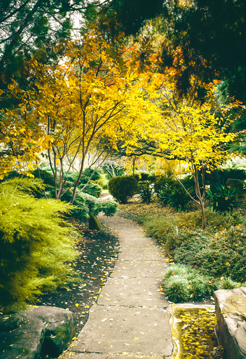 15 Garden Photography Ideas and Tips