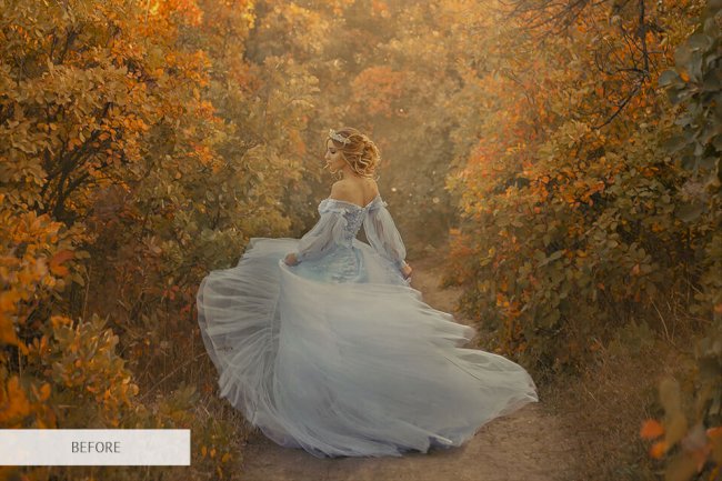 Intervalometer Photography Guide for Beginners