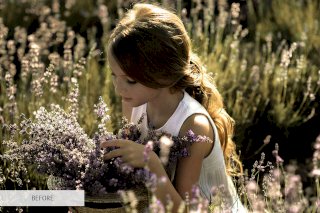 Examples of Framing in Photography for Inspiring Shots