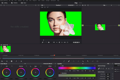 11 Best Free Green Screen Software in 2026