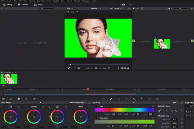 11 Best Free Green Screen Software in 2025