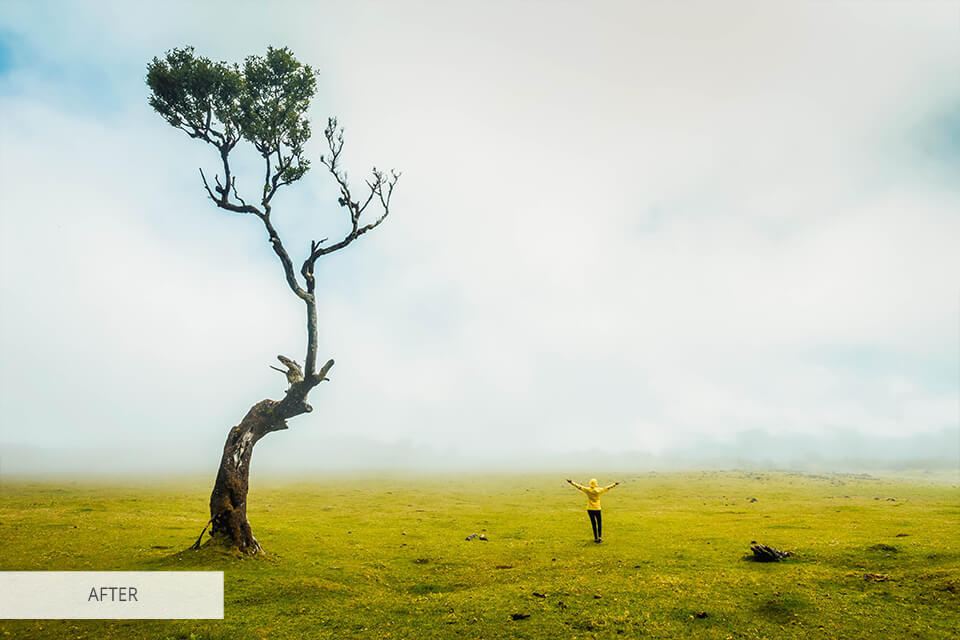 25 UNREAL Forced Perspective Photography Ideas
