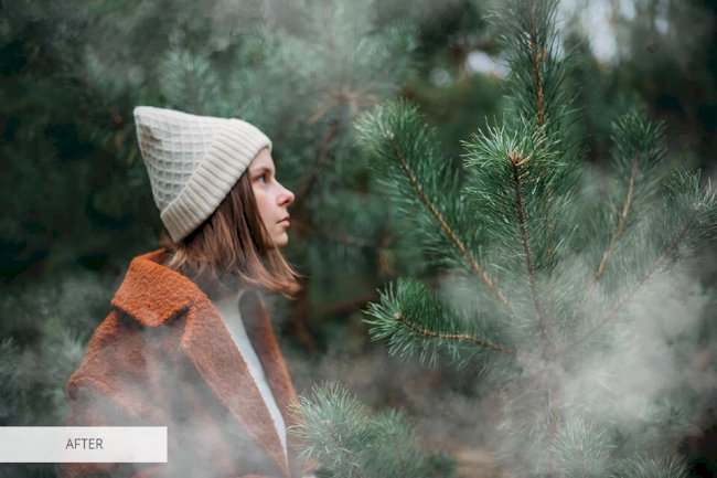 Aesthetic Photography Guide – How to Photograph Aesthetics?