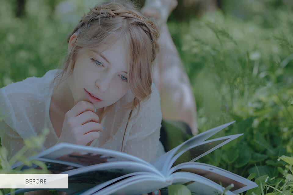 SLR Lounge Presets (+3 Freebies)