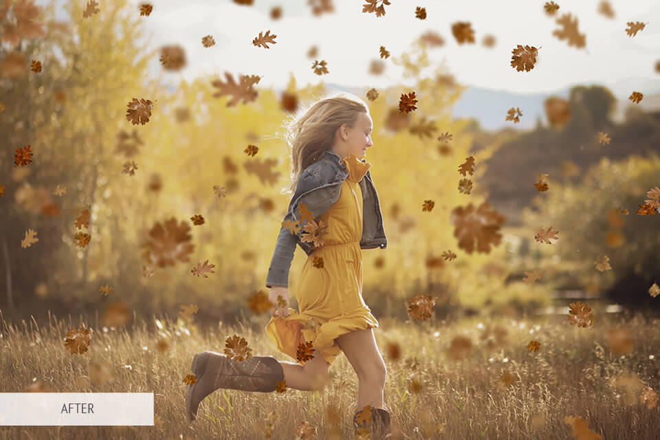 CorelDRAW 12 Free Download (Updated 2025 Version)