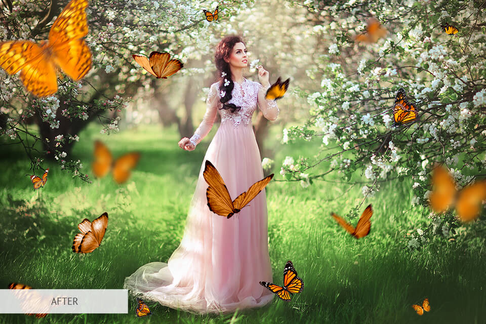 How to Get Corel Painter Free and Legally