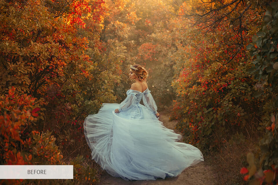 How to Add Watermark in Lightroom – 2 Methods