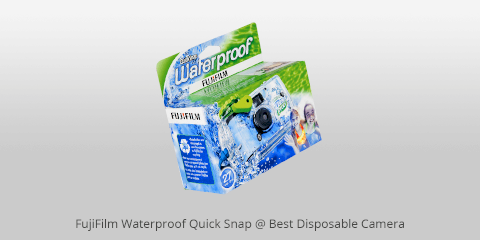 11 Best Disposable Cameras in 2025