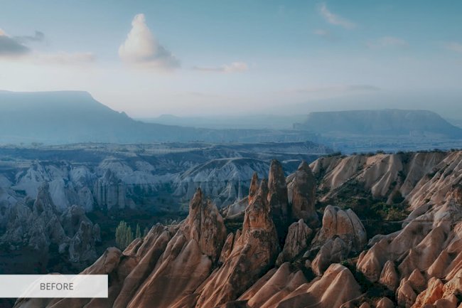 Contrast in Photography: 15 Tips and Examples