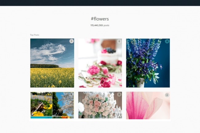 8 Best Instagram Image Downloaders in 2025