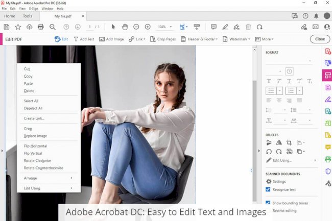 Adobe Acrobat DC vs PDF Converter Elite: Features & Pricing