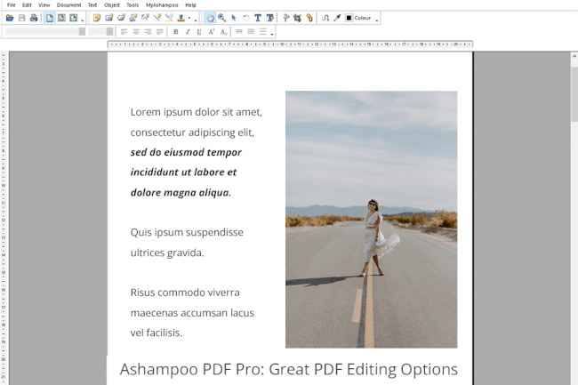 Adobe Acrobat DC vs Ashampoo PDF Pro: Which Software is Better?