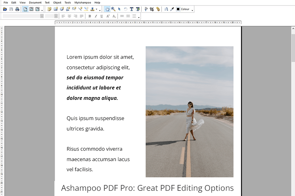 Adobe Acrobat DC vs Ashampoo PDF Pro: Which Software is Better?