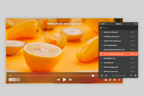13 Best Free Video Players In 2026