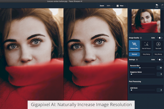 Let's Enhance vs Gigapixel: Which Software is Better?
