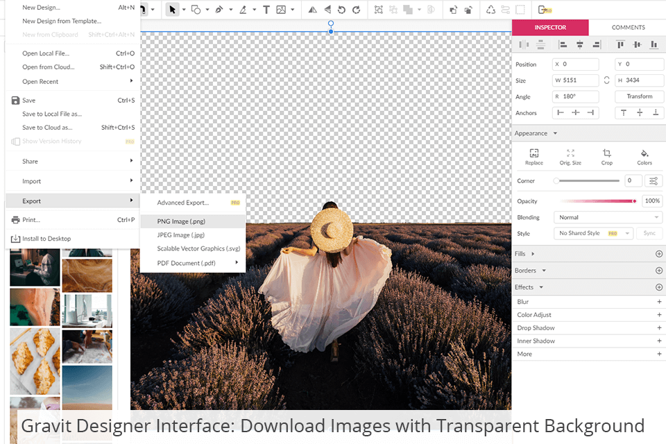 Canva Vs Gravit Designer What Program To Choose