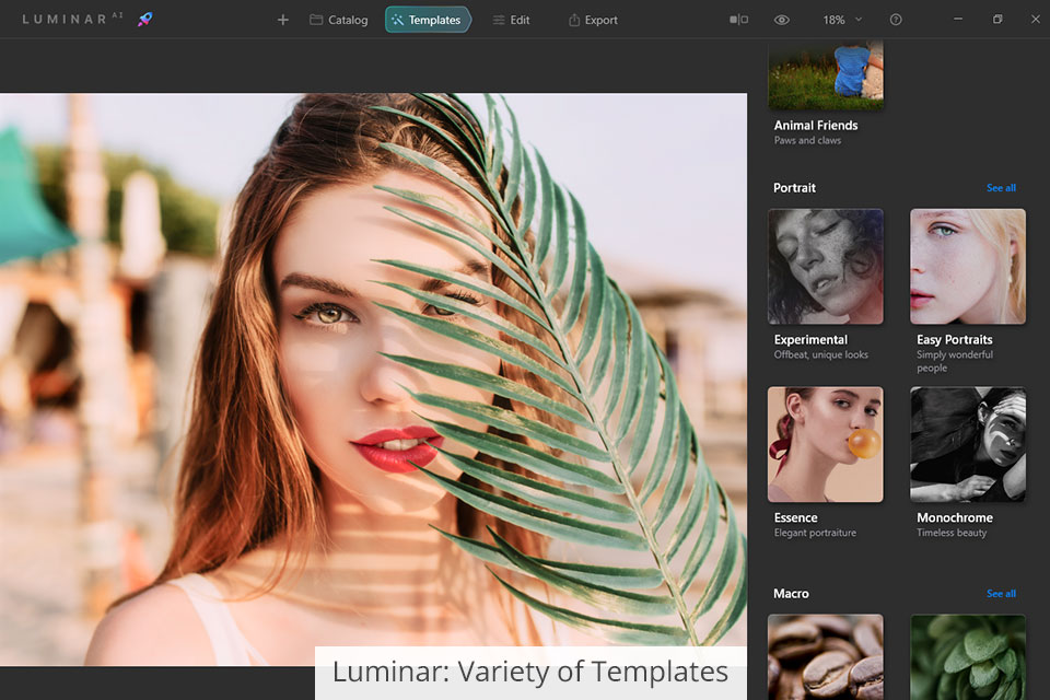 Luminar vs Photomatix Pro: Which Software is Better
