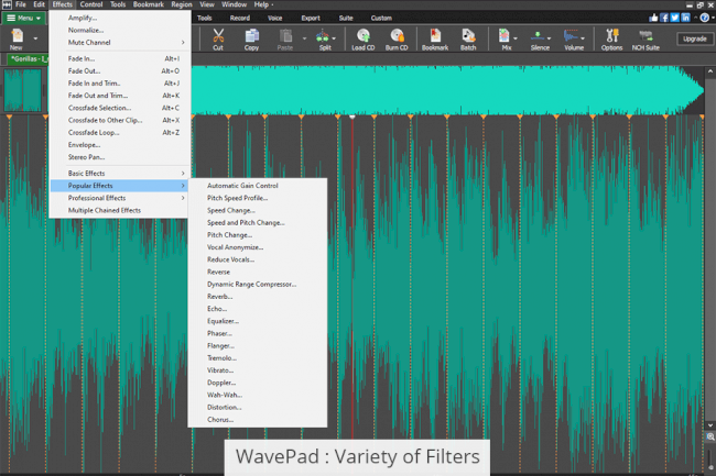 Adobe Audition vs WavePad: What Program to Choose?